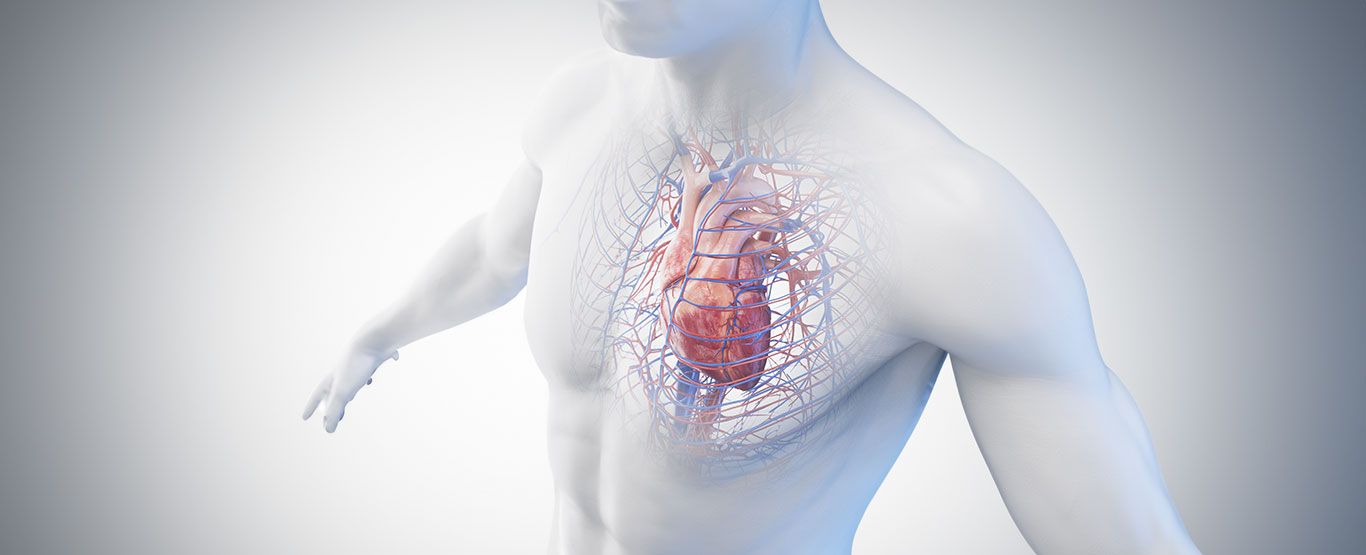 Residual Cardiovascular Risk